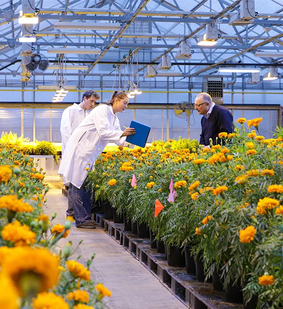 BrunoMD | Health and Wellness Products | Beauty Supplements