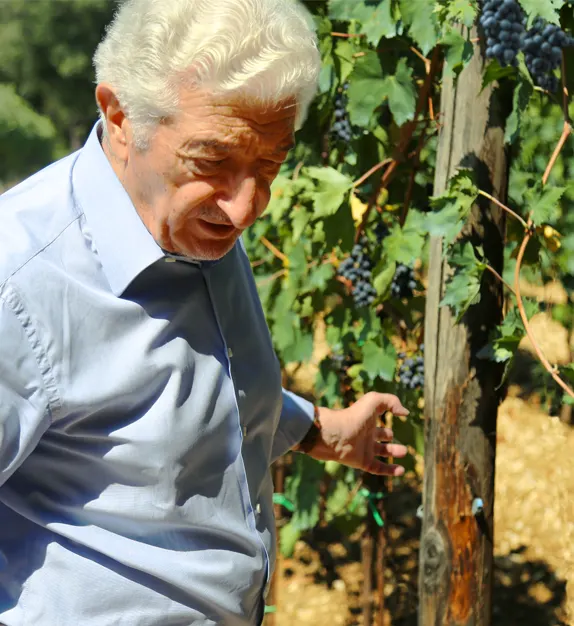 BrunoMD | Health and Wellness Products | Beauty Supplements